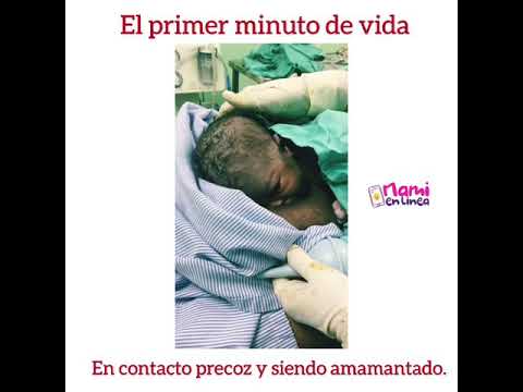 Lactancia materna | alimentación oportuna | apego precoz - YouTube
