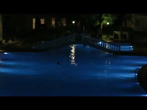 BELEK GOLF GECE HAVUZ