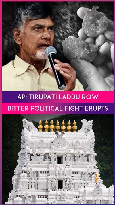 Tirupati Laddu Row: Chandrababu Naidu Alleges Animal Fat Used To Make Laddus; YSRCP Dismisses ...