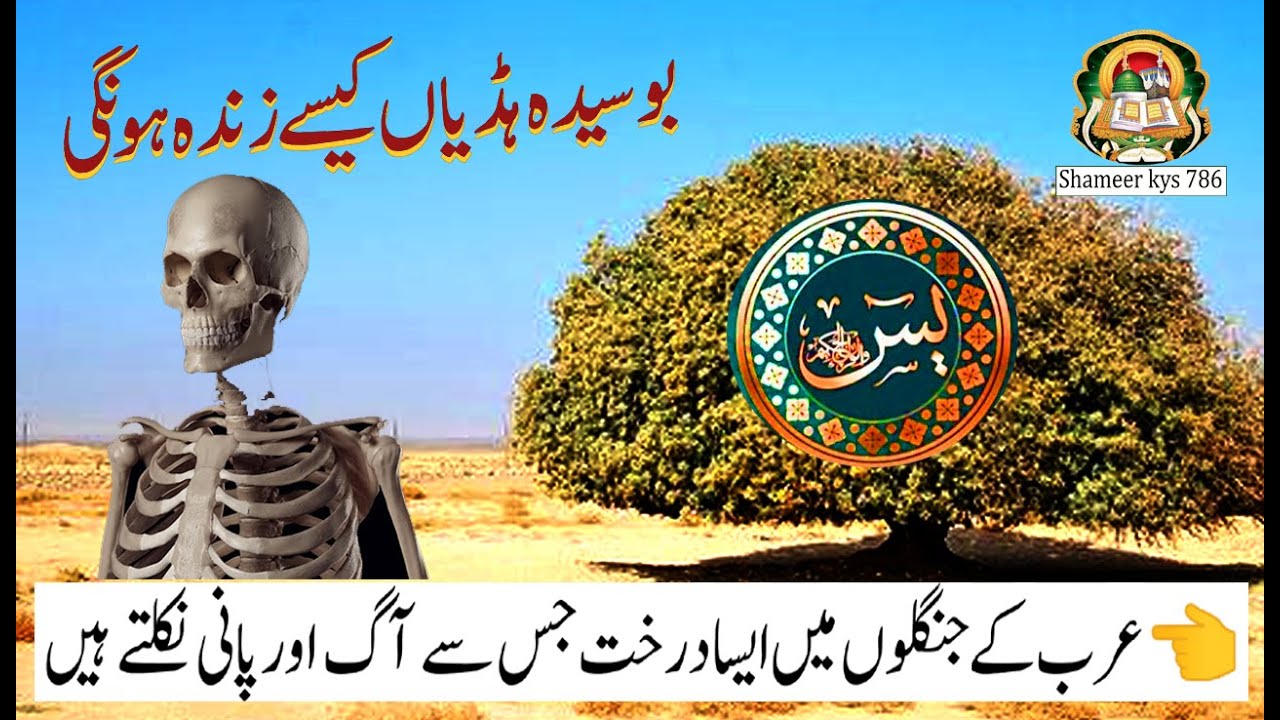 Bosida hadi ko Raab Tala kese zinda kere gha | Surah Yasin akhri sabak ...