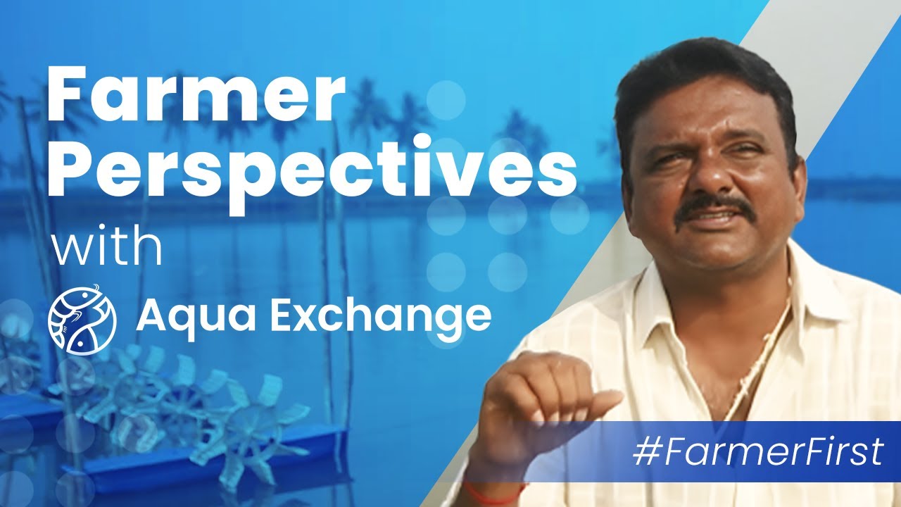 How Aqua Exchange Helps Shrimp Farmers Succeed | Insights from Datla ...