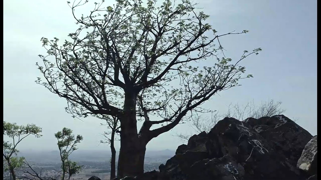 DOCUMENTARY: The Enigmatic Billiri Rock |TRUST TV - YouTube