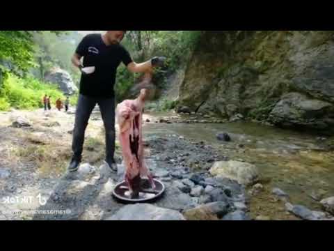 😂😂😆пирокол 😆😂