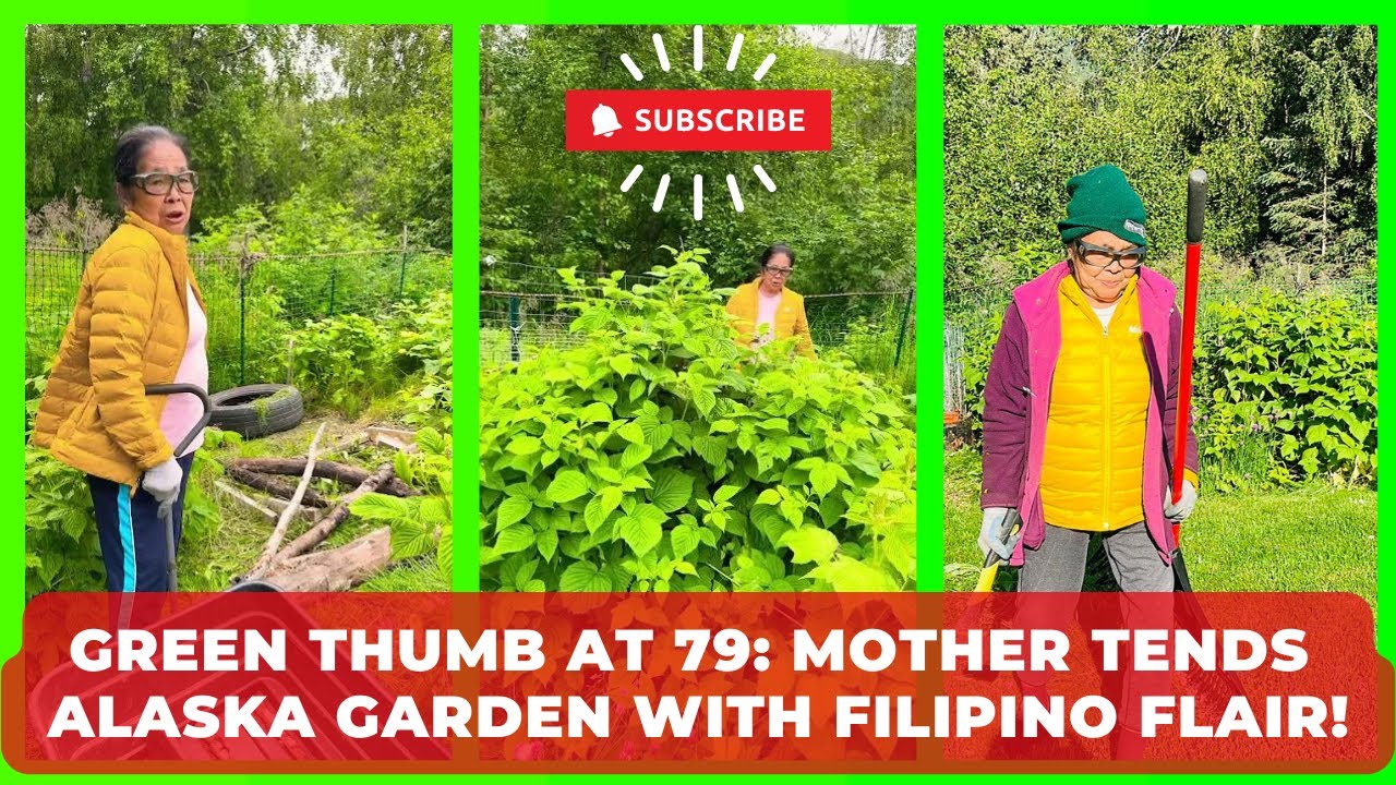 Green Thumb at 79: Mom Tends Alaska Garden with Filipino Flair! #family ...