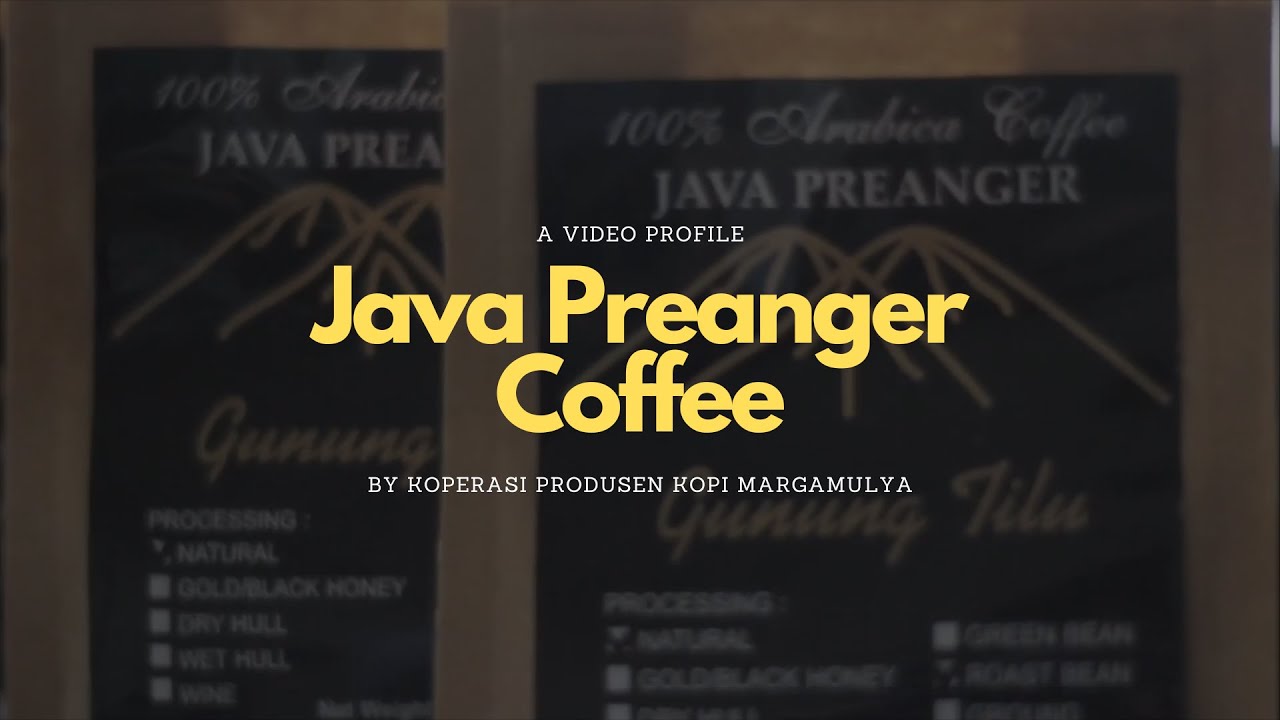 Video Profile "Java Preanger Coffee" by Koperasi Produsen Kopi Gunung ...