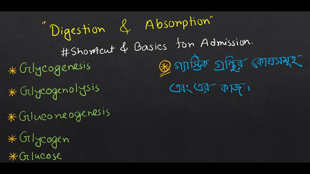HSC+Admission Bio: Digestion & Absorption - Gastric Glands +Terminologies of Carbohydrate ...