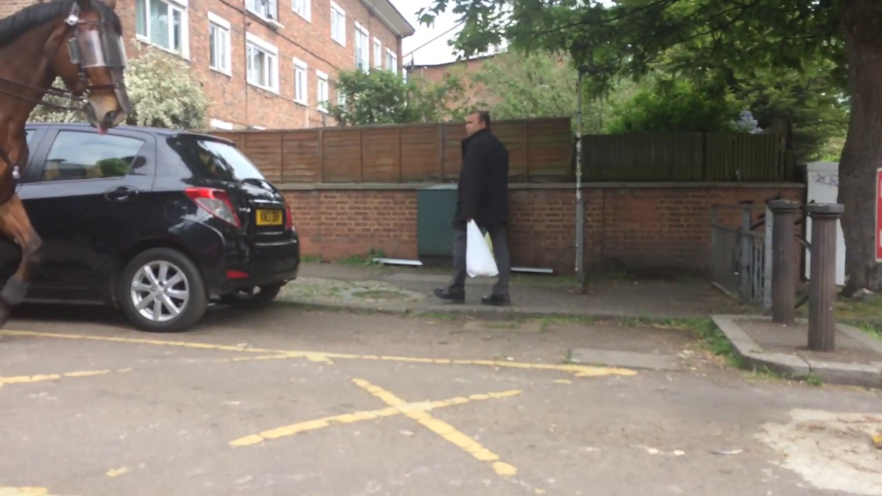 More met police horses on crowd control patrol - YouTube