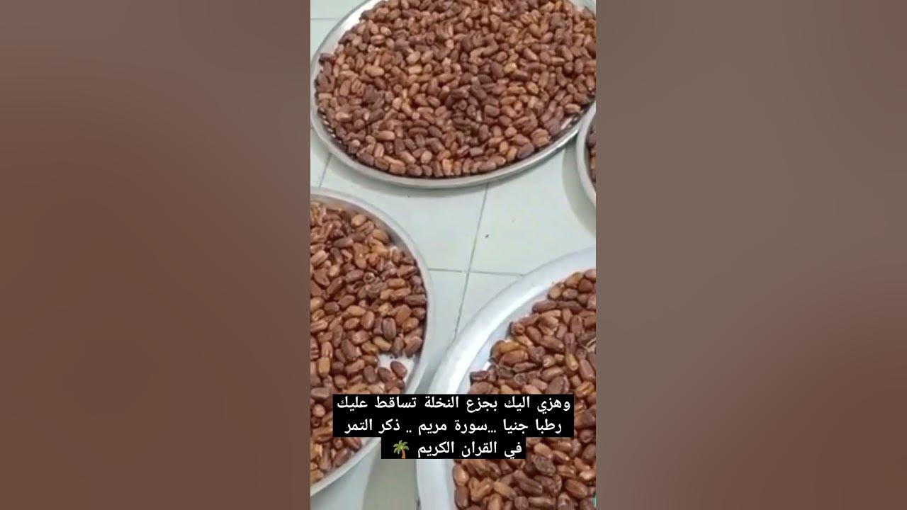 وهزي اليك بجزع النخلة تساقط عليك رطبا جنيا سورة مريم ذكر التمر في