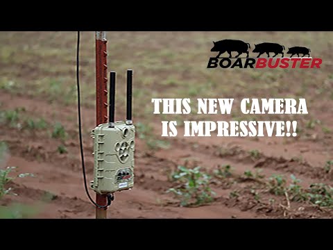 BoarBuster Hog Trap now has two 4G cameras on both AT&T and Verizon ...