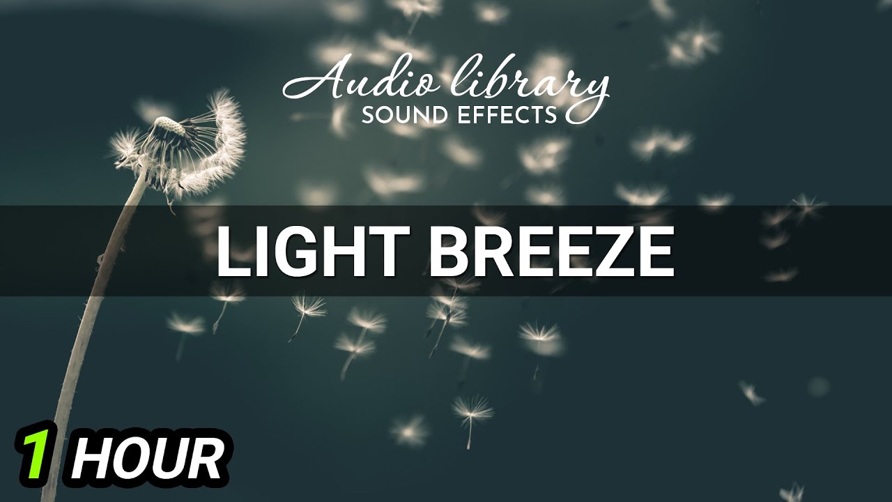 Light Breeze • No Copyright Sounds Effects (1 Hour Version) - YouTube