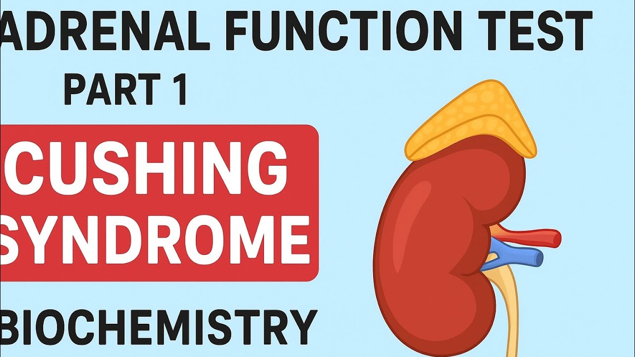 Adrenal Function Test | Biochemistry | Medical Pathshala | Part 1 - YouTube