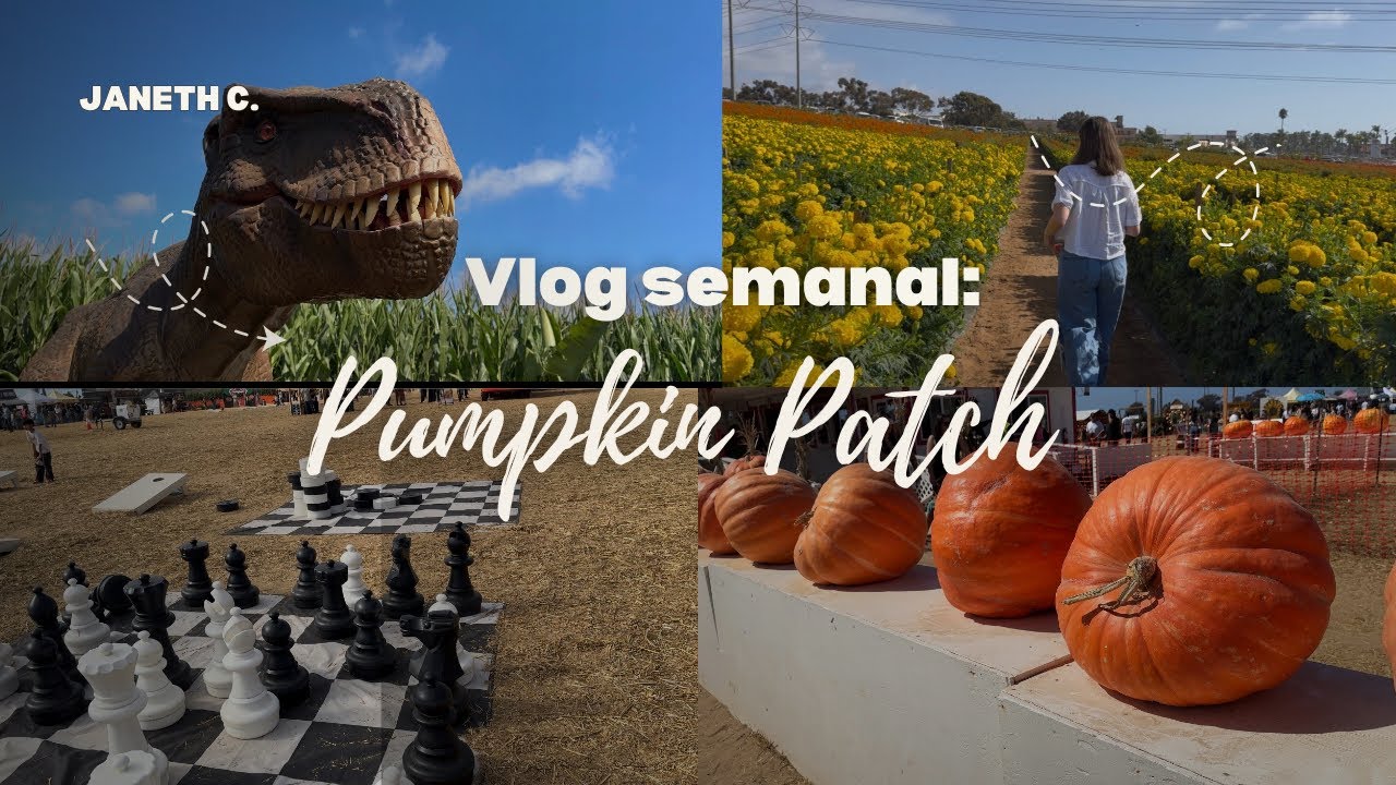 Así se vive el otoño en California | Campo de calabazas 📍 - YouTube