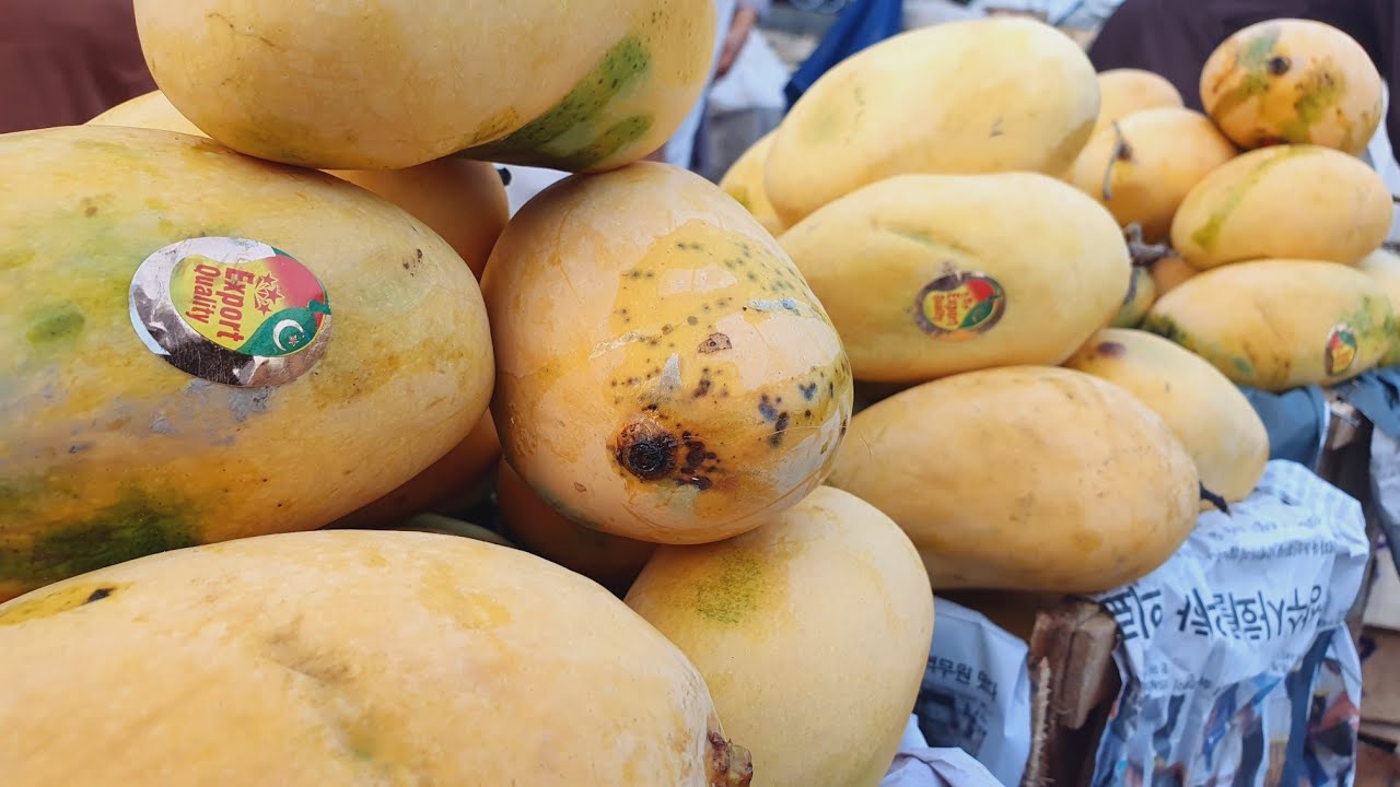 Premium export Quality Pakistani mango | Top class special Mango ...