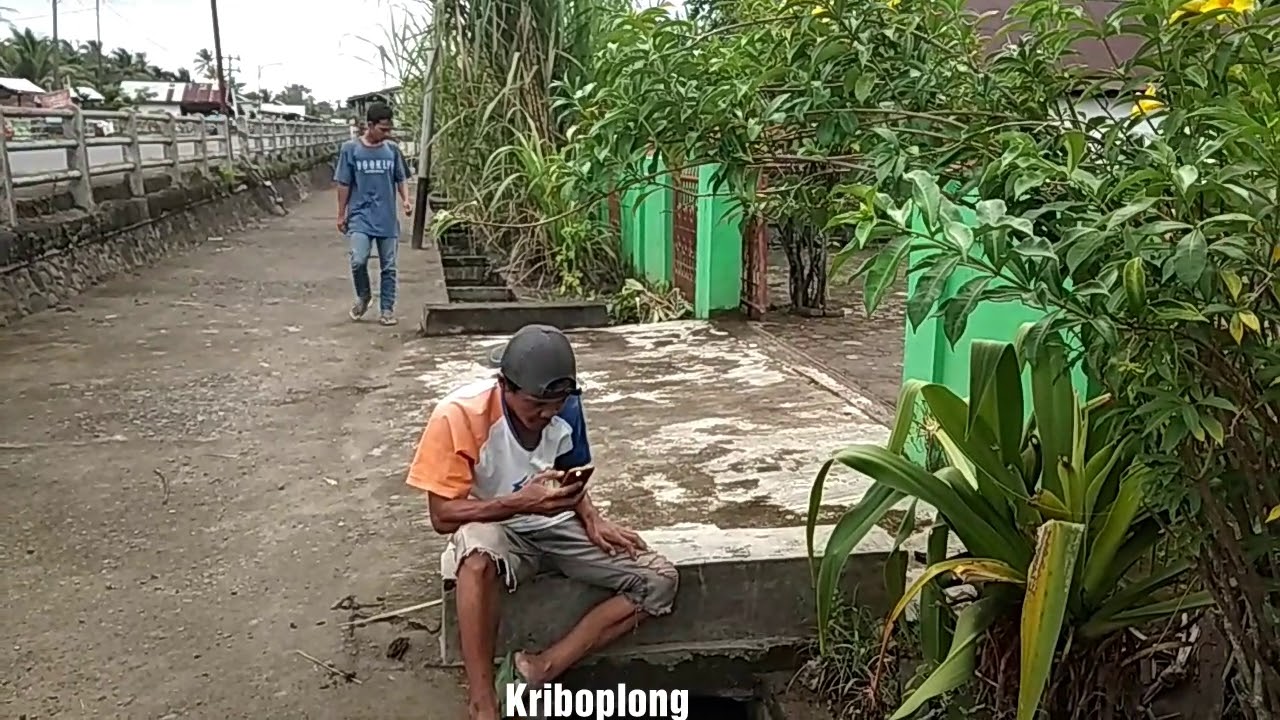 Mengenal habitat kutu air - YouTube
