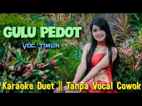 Gulu Pedot Karaoke Tanpa Vocal Cowok |Gulu Pedhot No Vocal Cowok || Voc Timun #DuetinAja