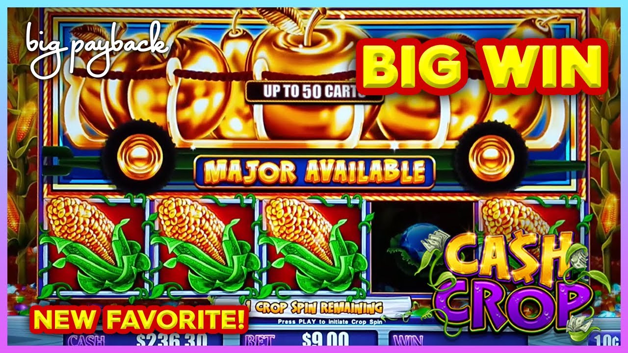 NEW LOCK IT LINK! Cash Crop Slot - LOVE THIS ONE!! - YouTube