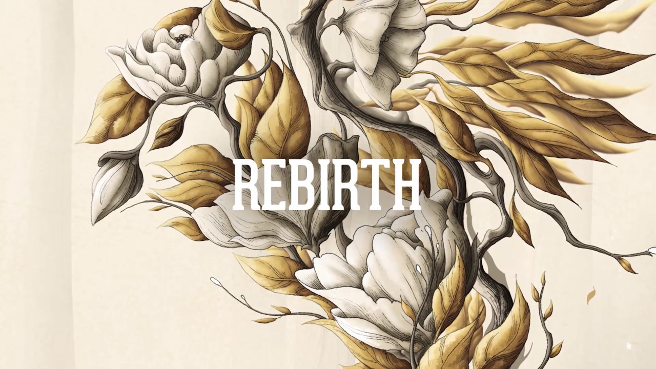 Minimalist drawing process: 'Rebirth' - YouTube