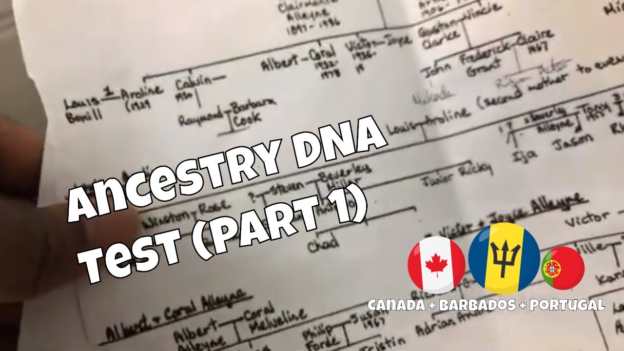 Ancestry DNA Test (Part 1) Canada + Barbados + Portugal - YouTube