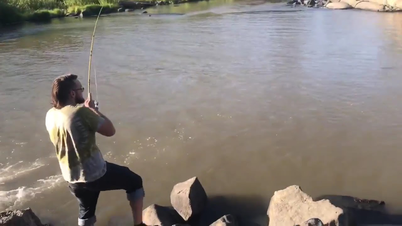 Carp Fishing Fern Ridge Long Tom Kirk Pond - YouTube