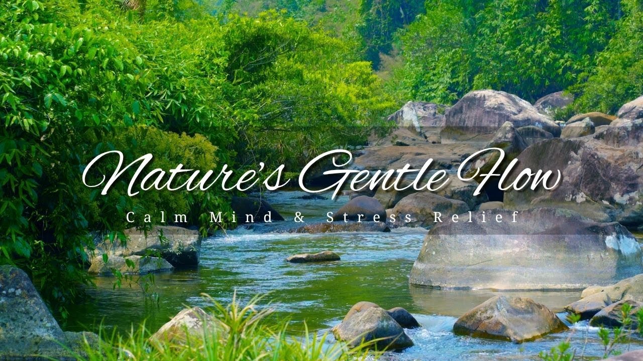 Nature’s Gentle Flow – Soothing River Ambience to Calm the Mind and ...