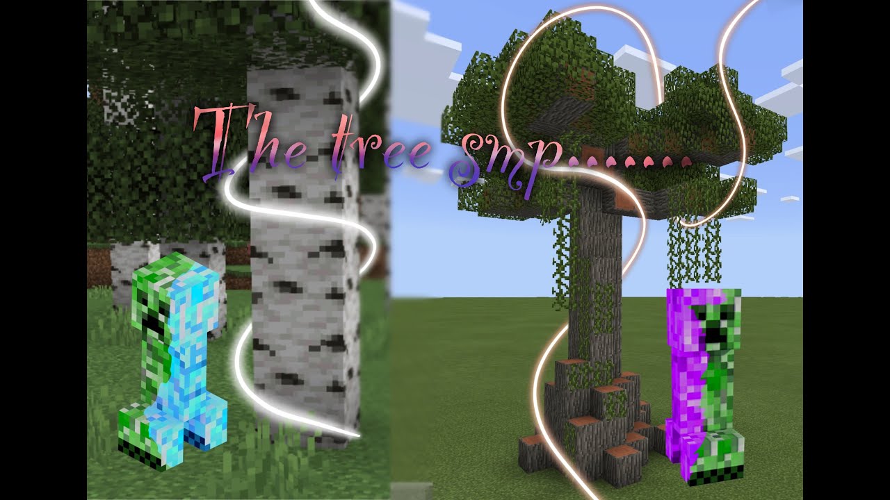 Stream highlights on The Tree SMP - YouTube