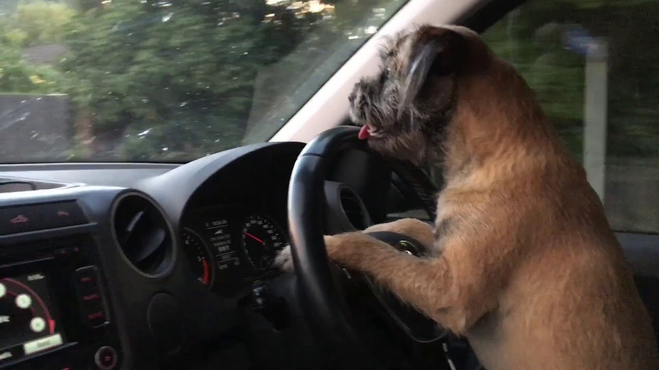 Jack Driving - YouTube