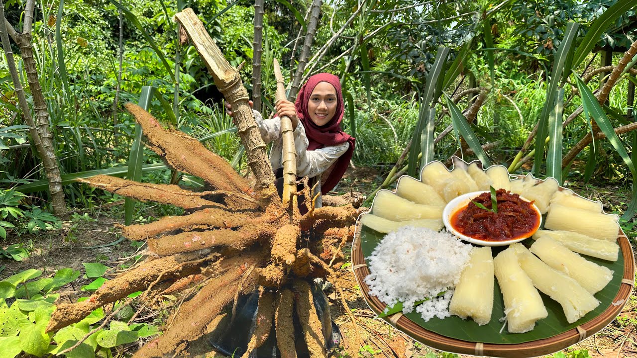 NIKMAT BETUL UBI KAYU MASAK MACAMNI || Ubi kayu rebus sambal & kelapa ...