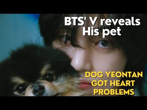BTS' V reveals his pet dog Yeontan has heart problems | BTS' V Reveals: Yeontan's Health Struggle