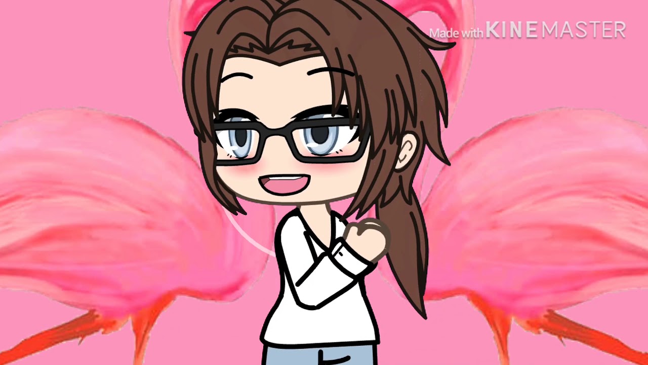 Flamingo Meme but I made it - YouTube