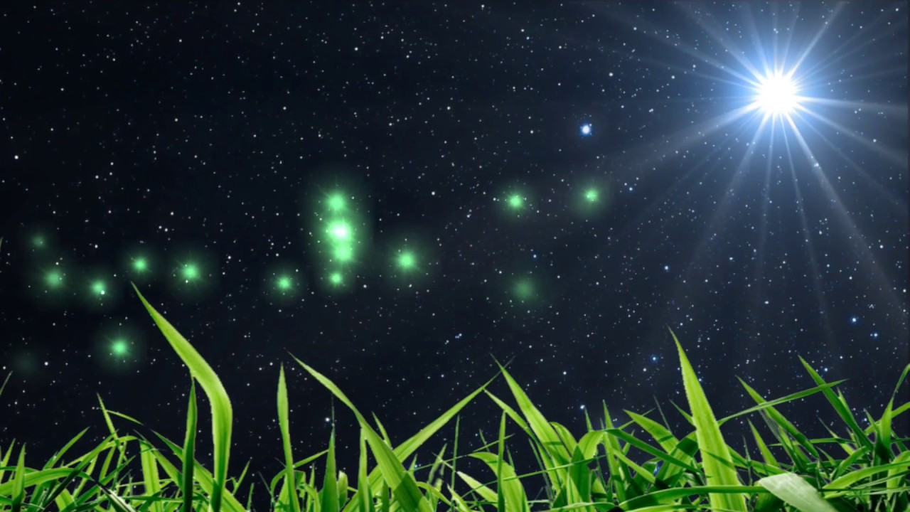 evening-star-by-edgar-allan-poe-read-by-kristin-hughes-youtube