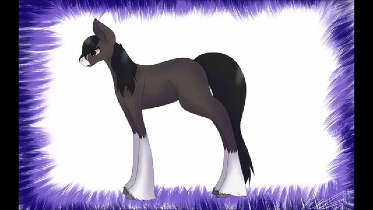 ~SSO Speedpaint: Shire Horse~ - YouTube