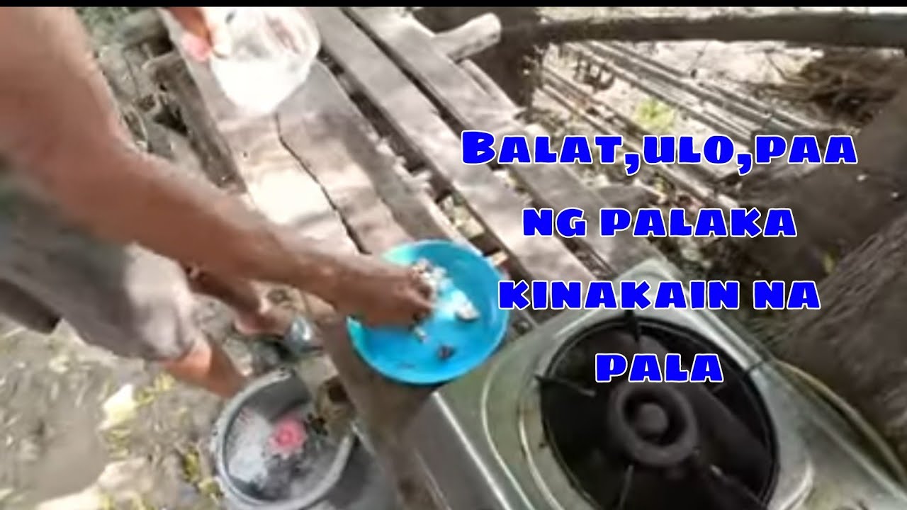 EP,890. Balat,ulo,paa ng palaka kinakain na pala - YouTube