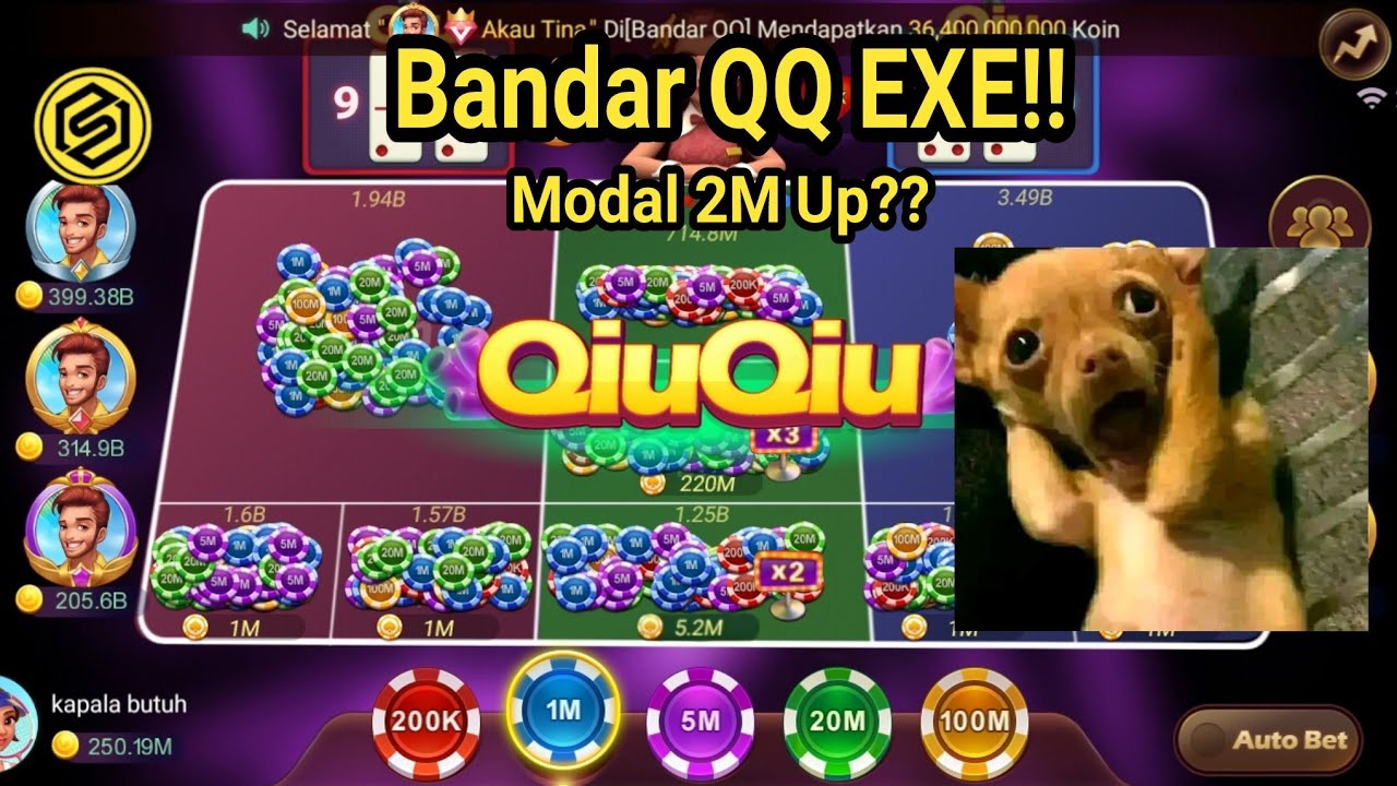 Bandar QQ EXE!! Ayo Kita Runtuhkan Bandar Lagi🗿 Higgs Domino - YouTube