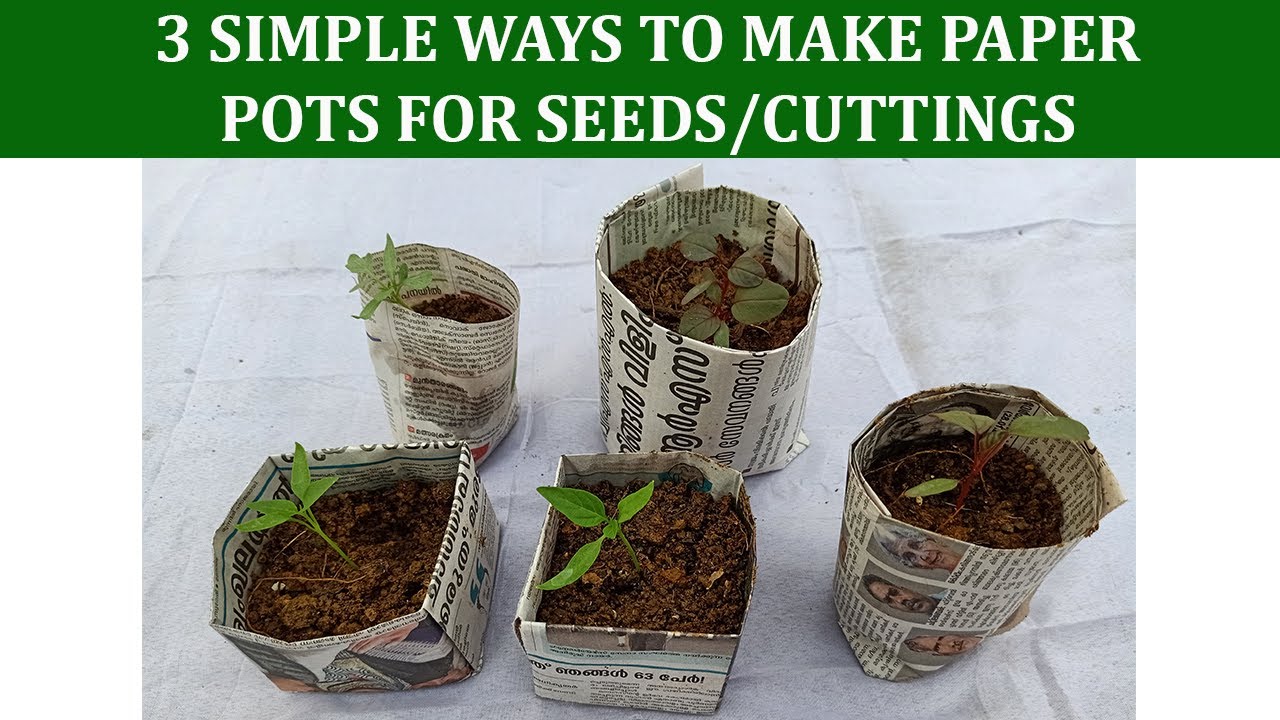 DIY 3 Simple Methods To Make Paper Pots For Seeds Cuttings English diy-3-simple-methods-to-make-paper-pots-for-seeds-cuttings-english