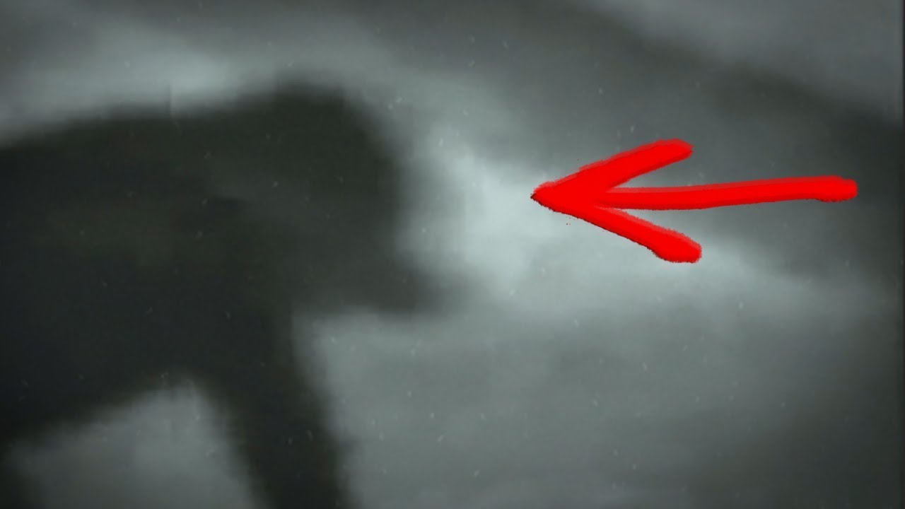 Real Werewolf Caught On Tape - YouTube