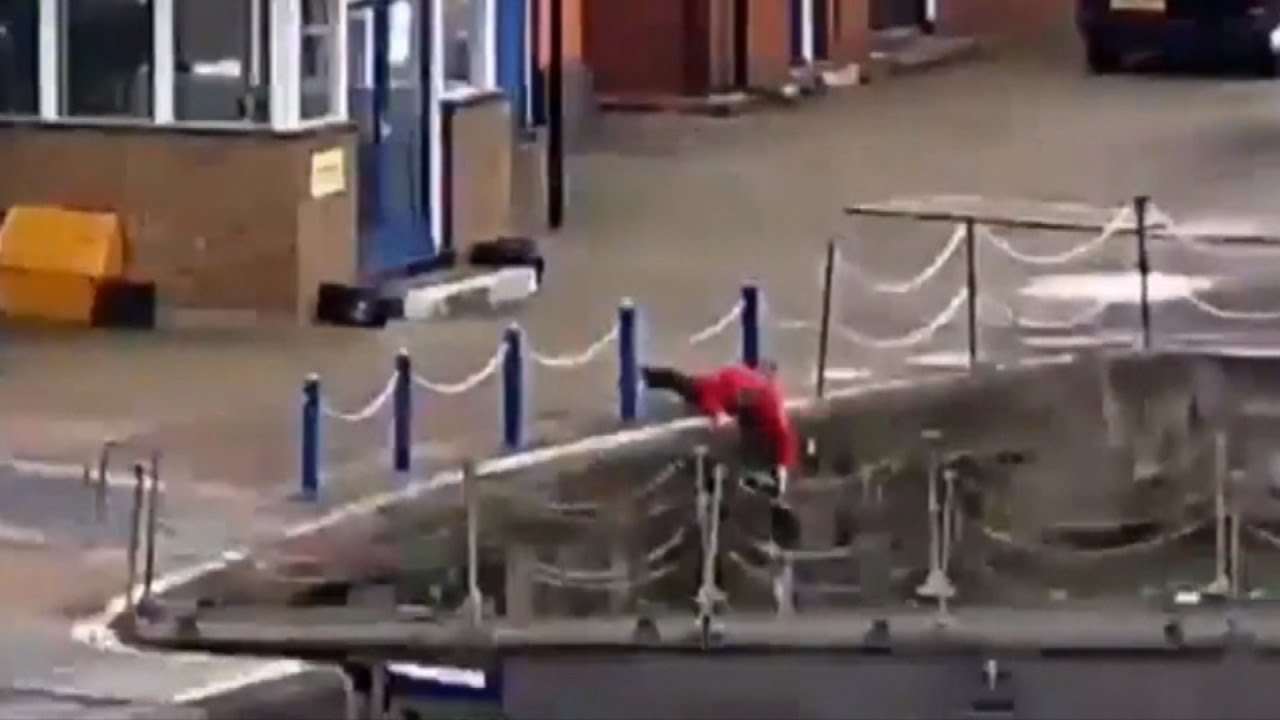 Stranger Saves Drowning Office Cat Who Was Pushed Into Water During ...