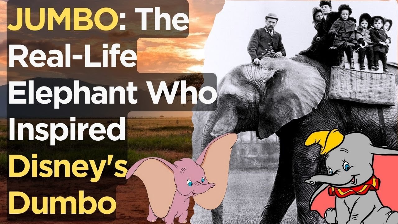 The Real-Life Elephant Who Inspired Disney's Dumbo: The Story of Jumbo ...