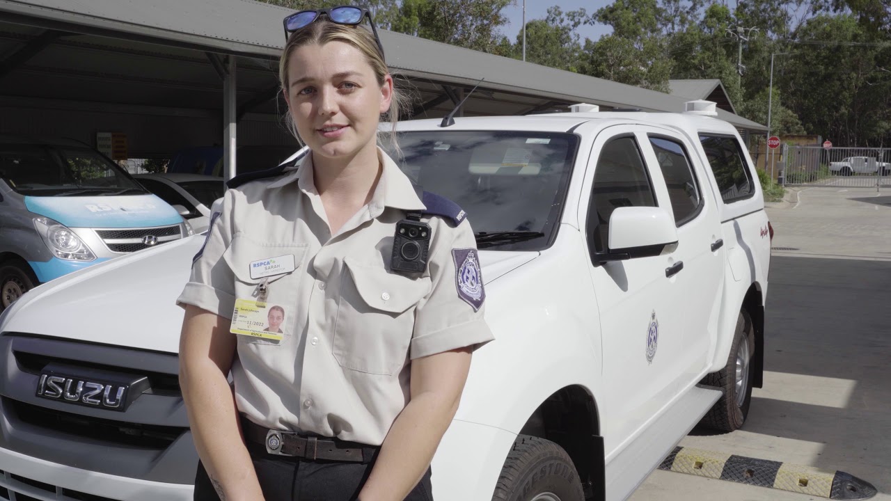 Today at RSPCA - YouTube