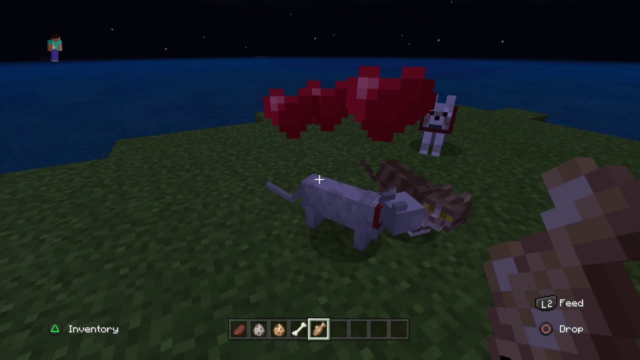 Dogs vs cats -minecraft - YouTube