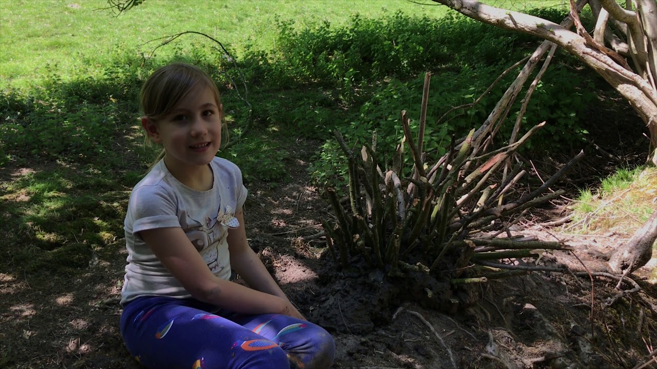Forest School week 5. Hedgehog. 4K. - YouTube