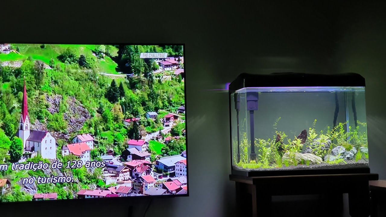 Melhorando a iluminação do Boyu EC-600 - YouTube