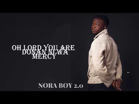 Nora boy 2.0    DONAN ( Video lyrics)