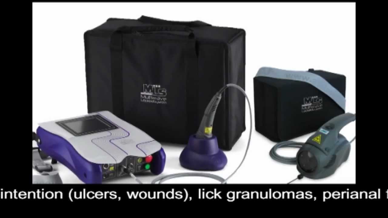 MLS® Laser Therapy devices: Mphi Vet, Trolley and Mphi Equine - YouTube