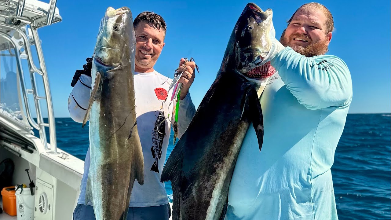 Hunting Cobia and lost tackle - YouTube