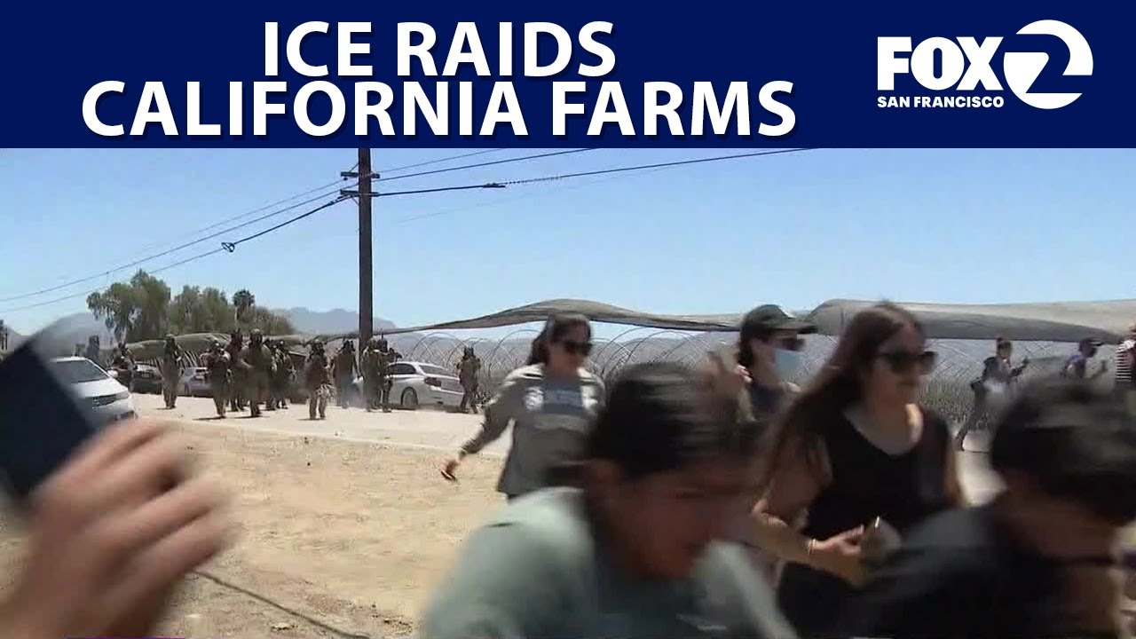 ICE raids California farms | West Coast Wrap - YouTube