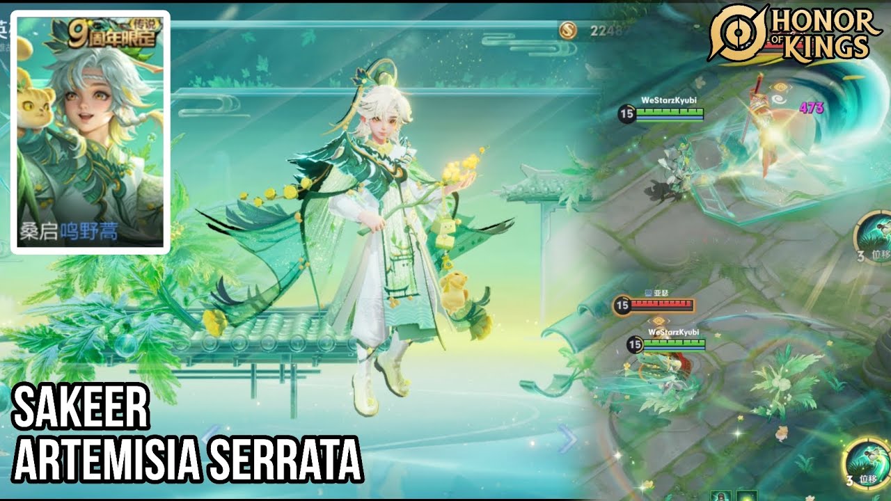 New Skin Sakeer - Artemisia serrata | China Server | Honor Of Kings Indonesia - YouTube