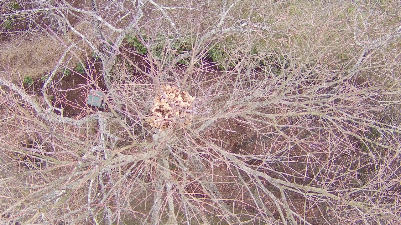 Abandon Hawks Nest... - YouTube