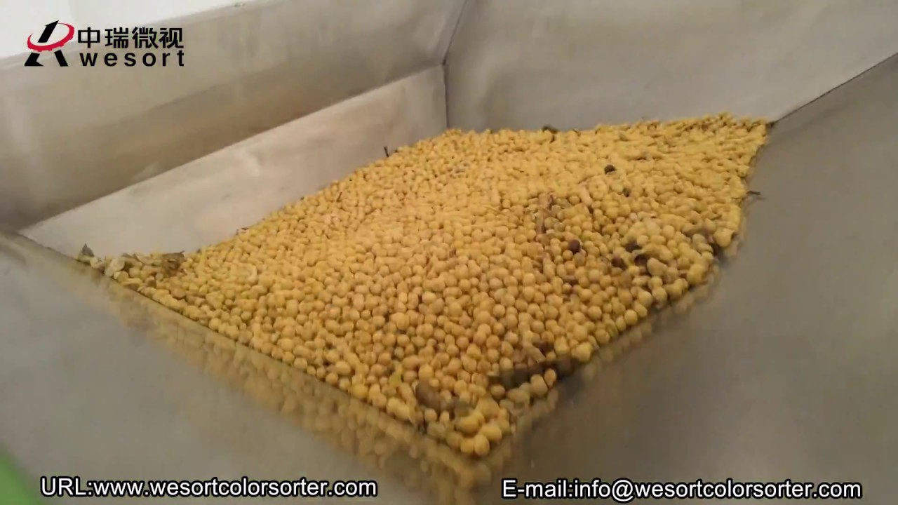 customer's cases，Soybean color sorter sorting high quality soybeans ...