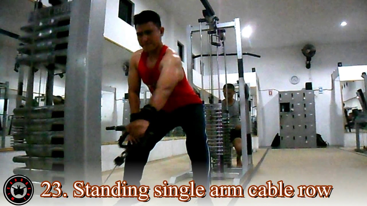 33 variasi gerakan latihan punggung atau back di tempat gym atau fitnes ...