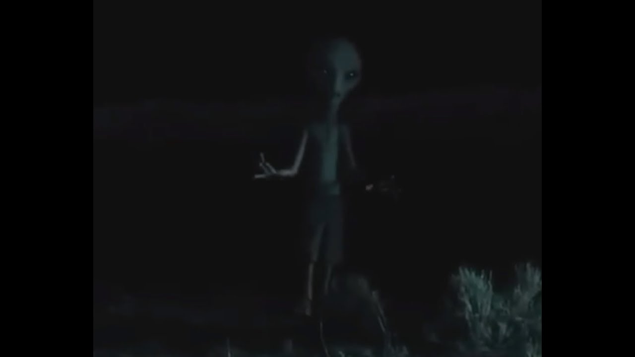 Alleged Alien Beings on Photo/Video - Part 27 - YouTube